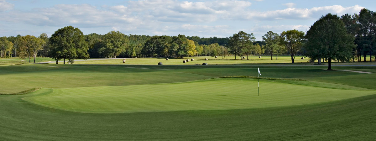 FarmLinks Golf Club at Pursell Farms Review in Sylacauga, AL